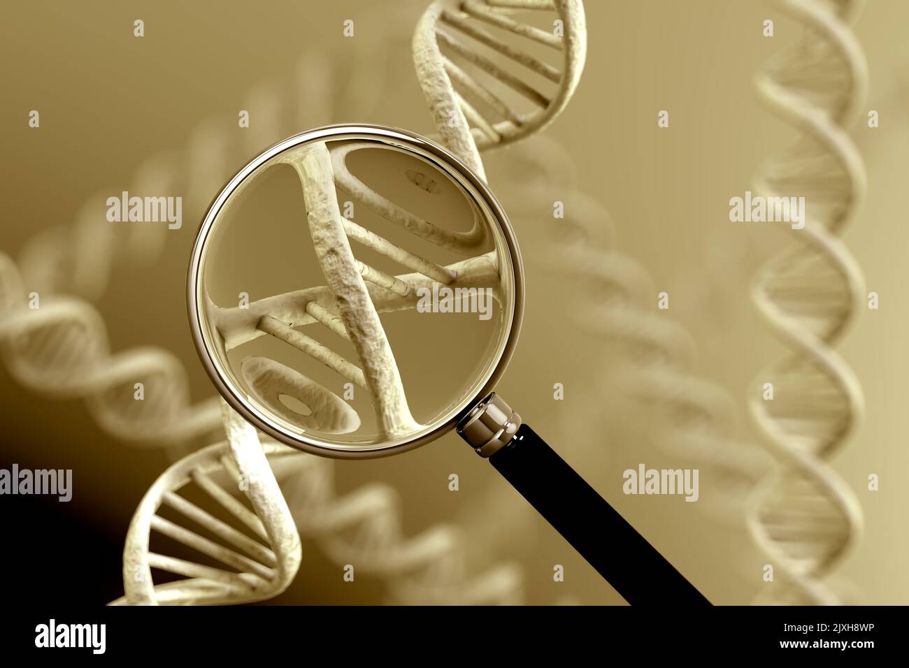 Dna strands with magnifying glass hi-res stock photography and images ...