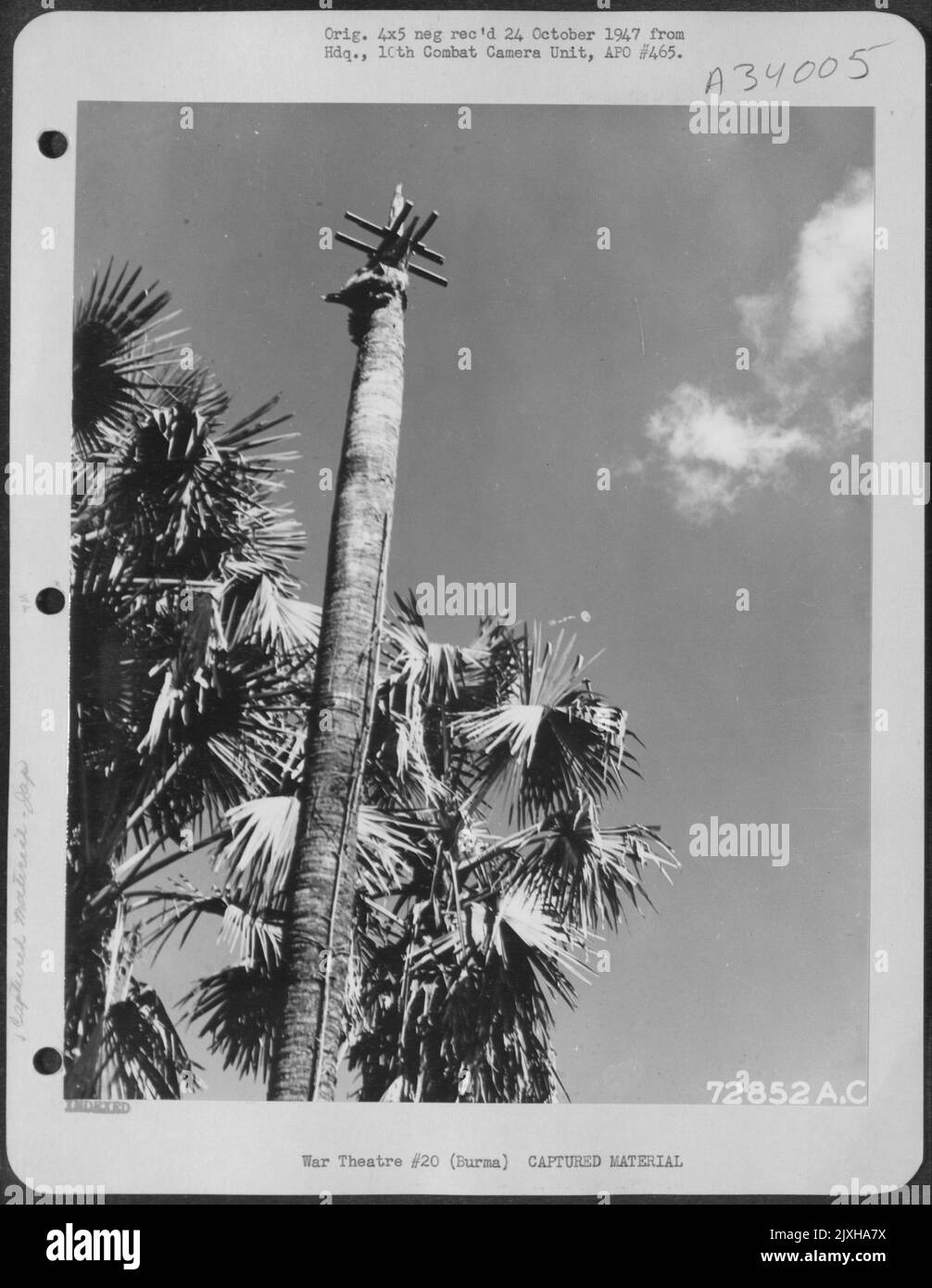 Post tropical Black and White Stock Photos & Images - Alamy