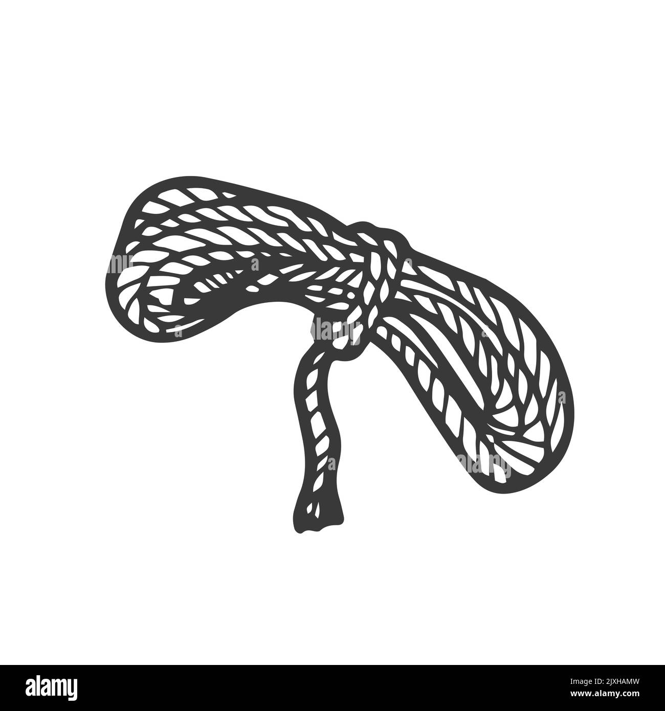 Rope Coil Drawing