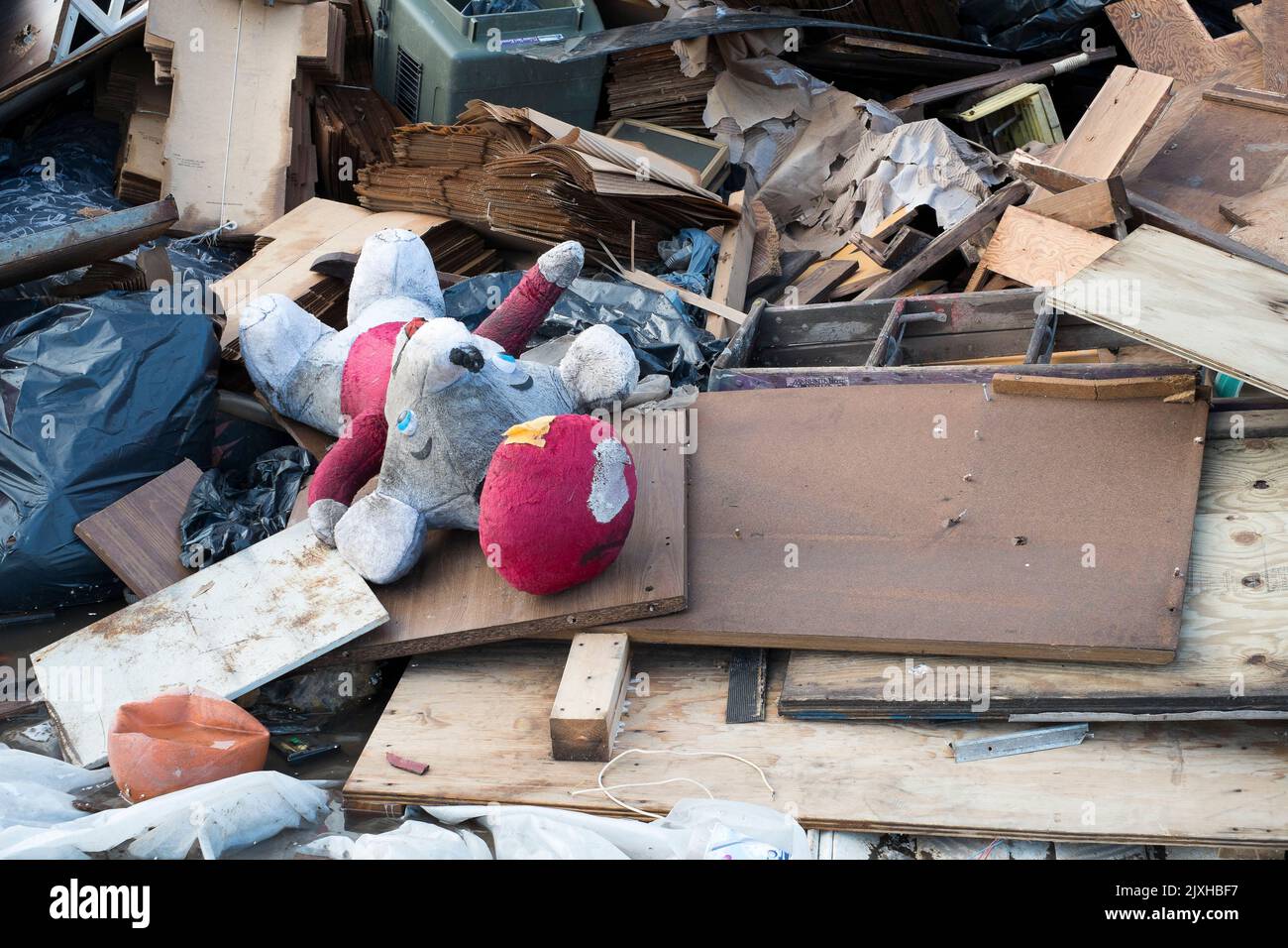 Abandoned teddy bear in Coney Island Stock Photo - Alamy