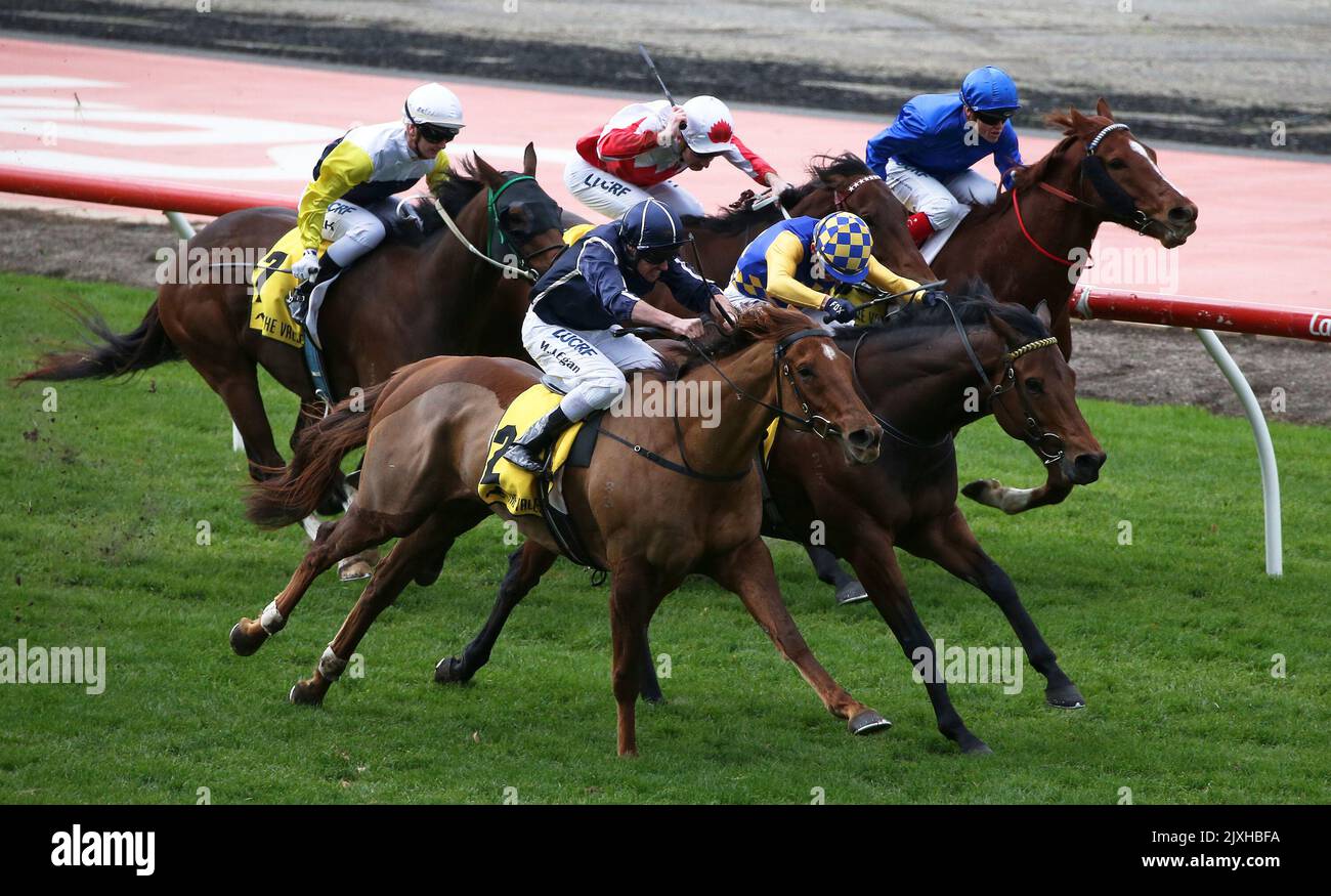 Jockey Billy Egan rides Widgee Turf to win race 5, Catanach's Jewellers ...
