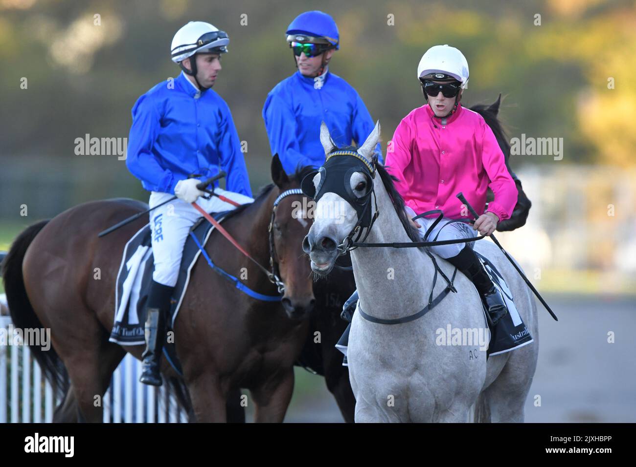 Jockey, Jay Ford returns to scale on Albumin after winning race 8, the ...