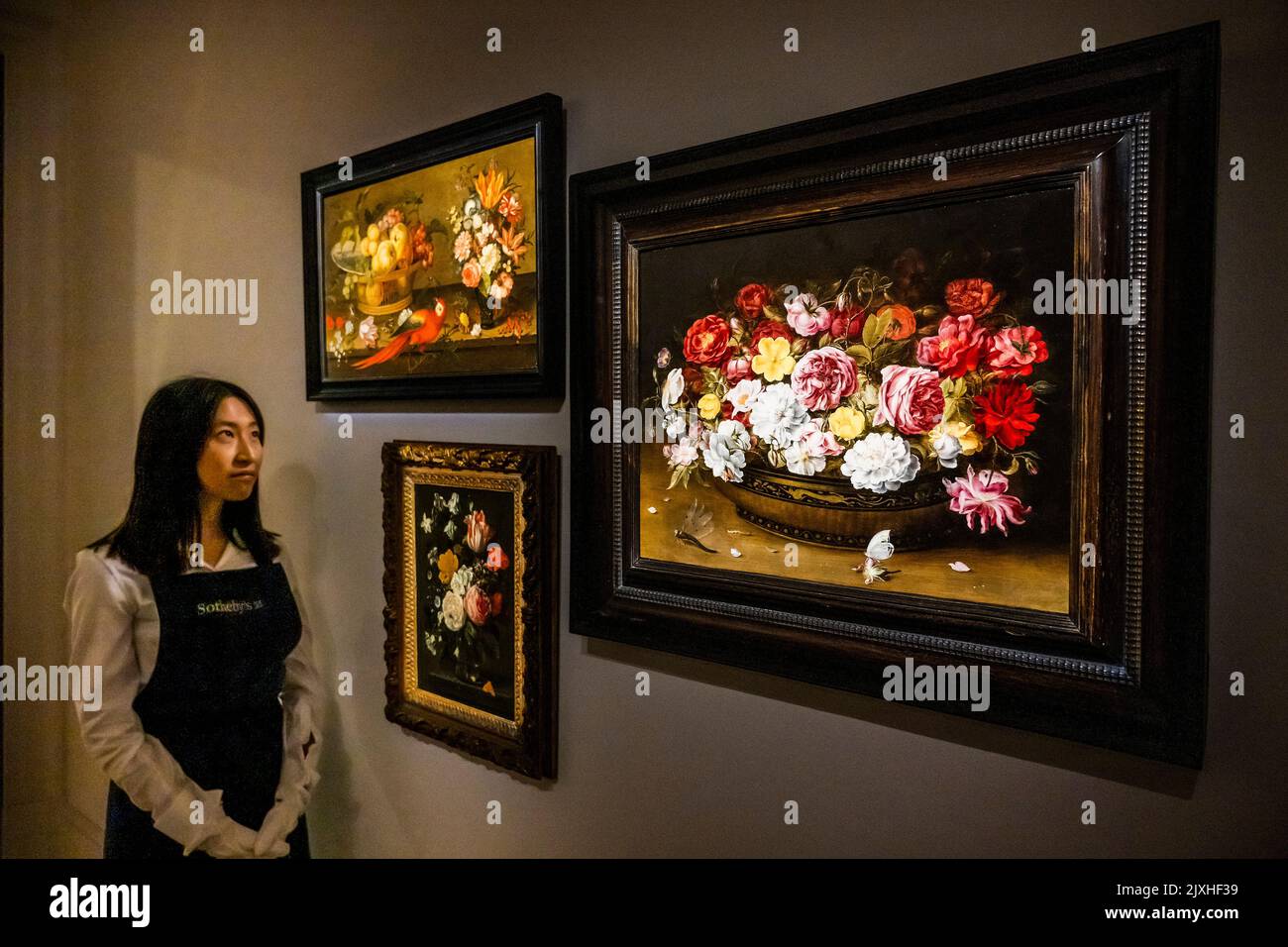 Dutch master roses hi-res stock photography and images - Alamy