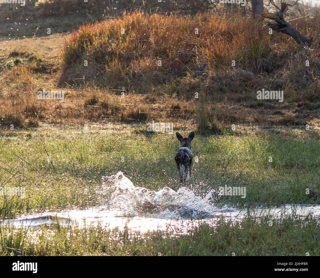Camp hunt hi-res stock photography and images - Alamy