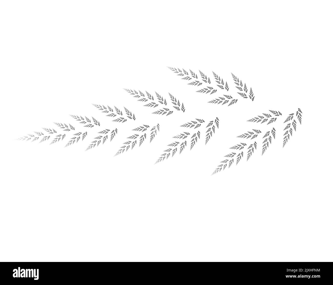 Fractal in the form of a branch with leaves on a white background Stock ...