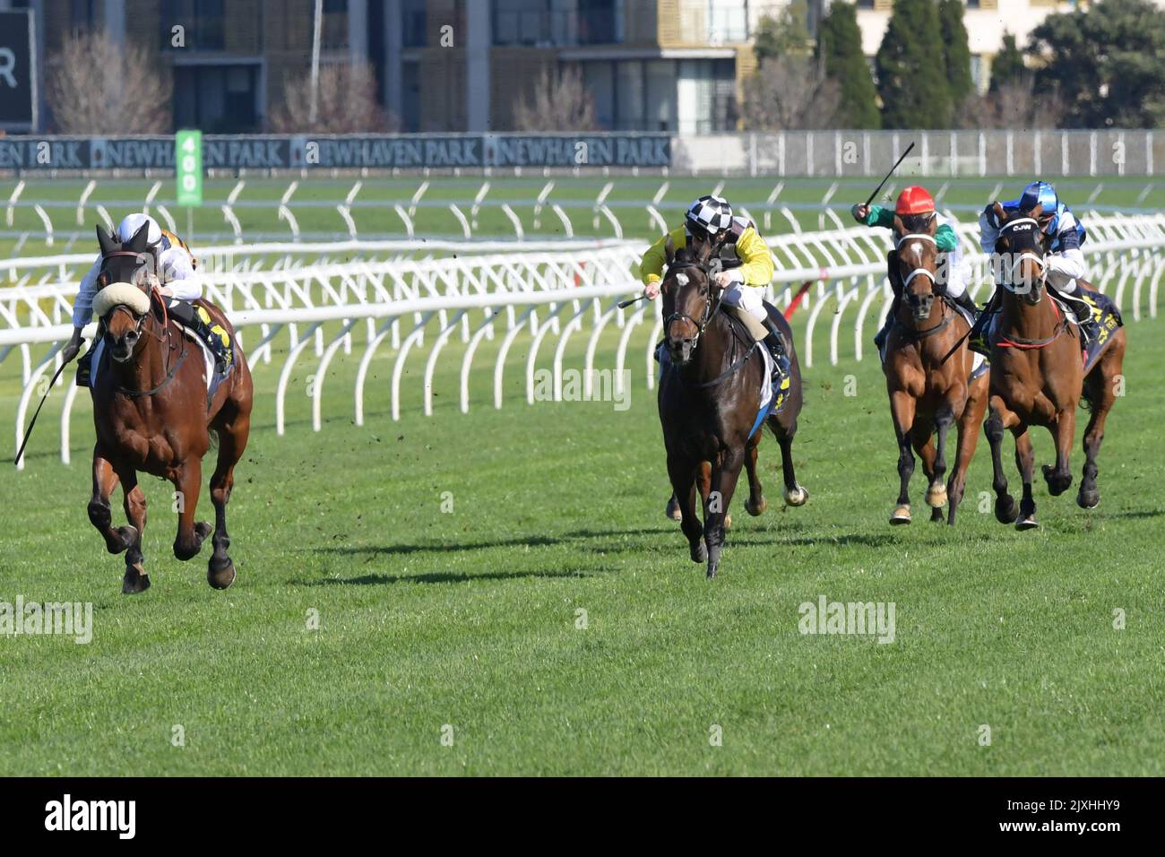 Jockey Adam Hyeronimus rides Plymouth Road to win race 3, the Evergreen ...