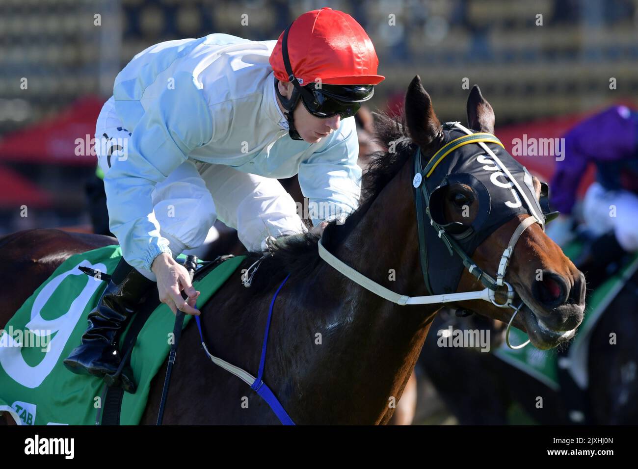 Jockey, Tim Clark rides Two 'N' Wellgo to win race 4, the Southern ...