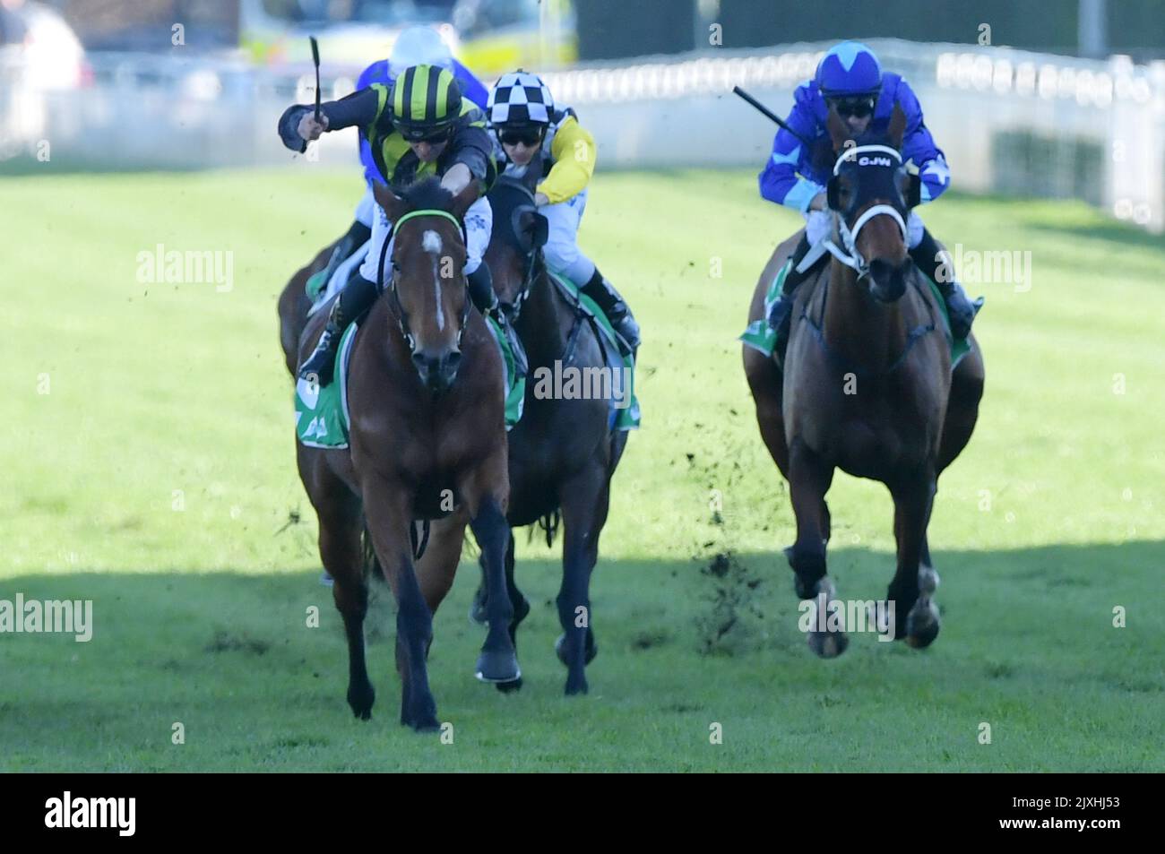 Jockey, Adam Hyeronimus rides Reiby Rampart to win race 6, the SCG ...