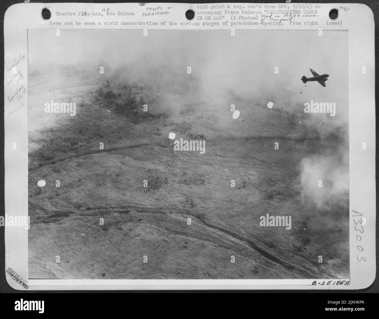 Here can be seen a vivid demonstration of the various stages of ...