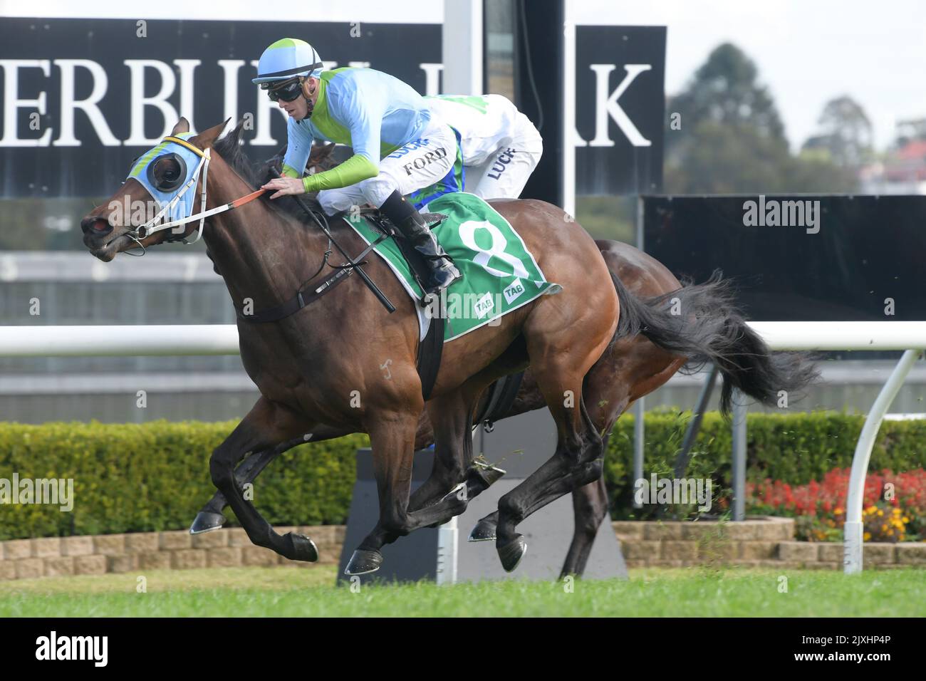 Jockey Jay Ford rides Ducale to win race 2, the TAB.com.au Plate during ...