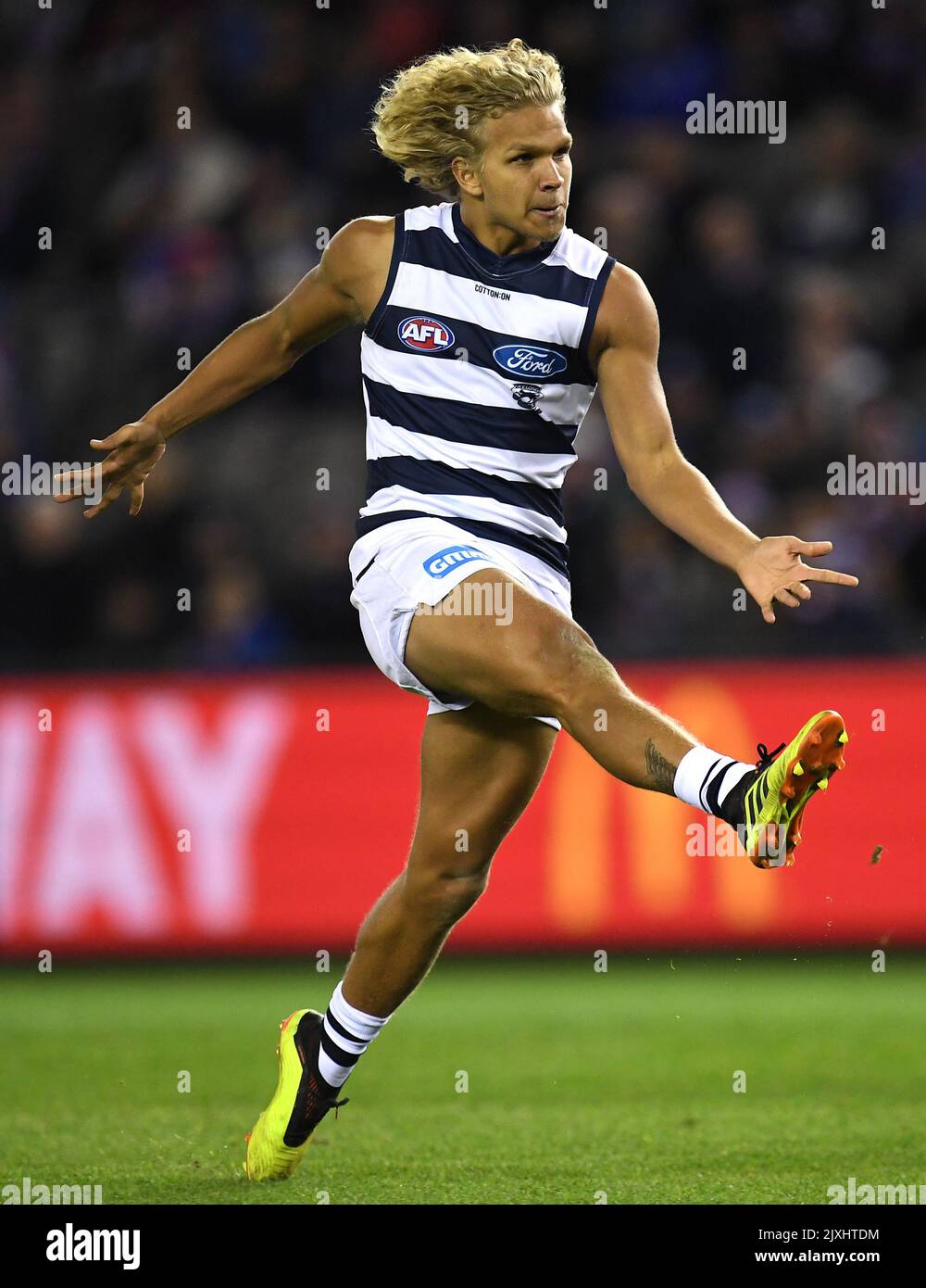 Quinton Narkle of the Cats is seen in action during the Round 15 AFL ...