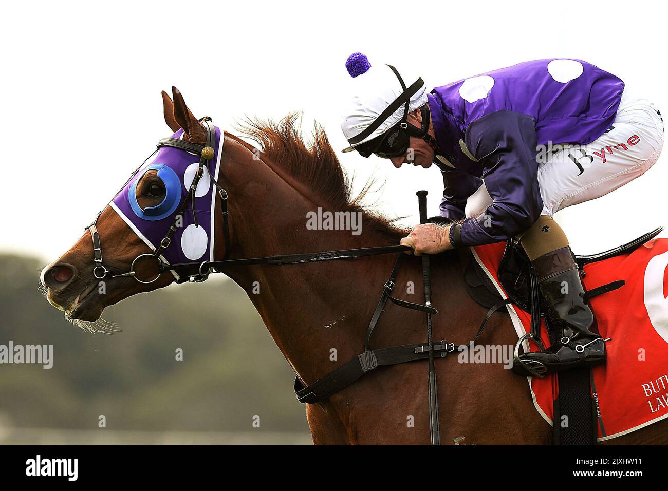 Jockey Jim Byrne rides Shogun Sun to victory in race 2, the Glovers ...