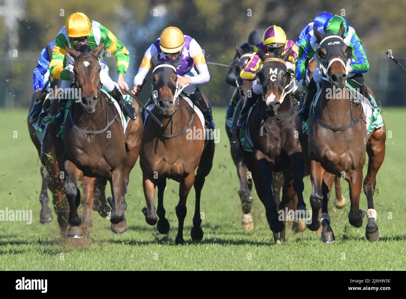 Jockey Jay Ford rides Tornado Gal to win race 5, the TAB Rewards ...