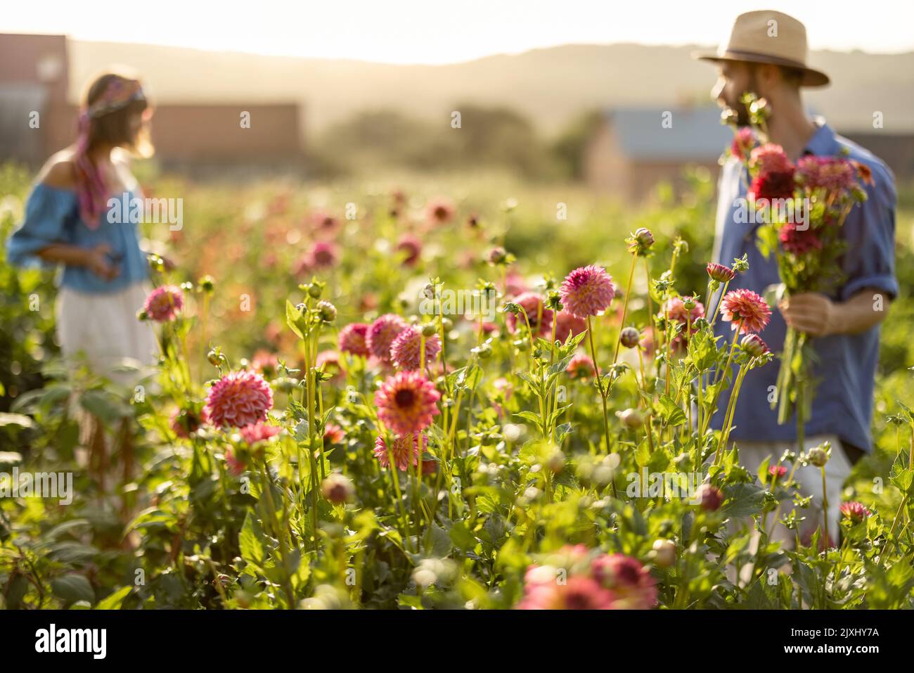 Man and woman pick up flowers at farm outdoors Stock Photo - Alamy
