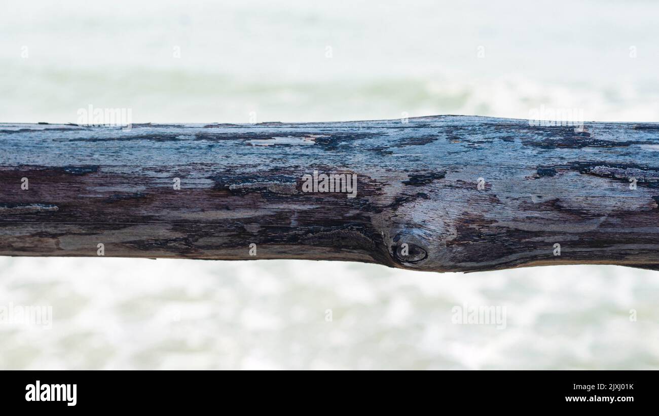 Horizontal line dark brown narrow plank log hard wood bark surface ...