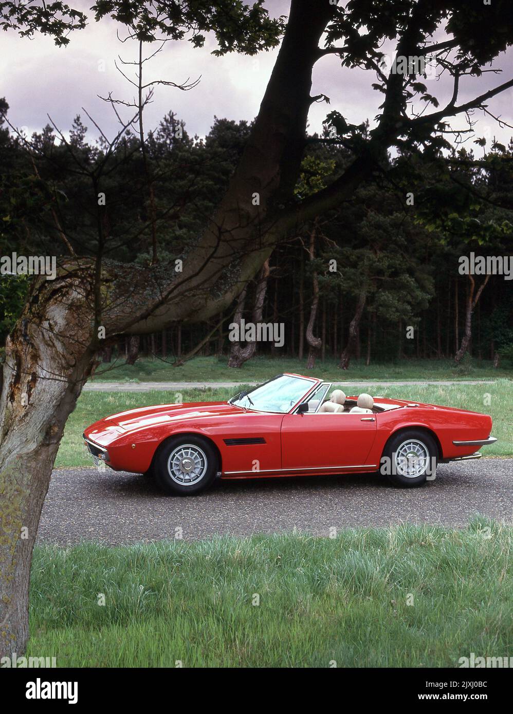 Ghibli ss spider hi-res stock photography and images - Alamy