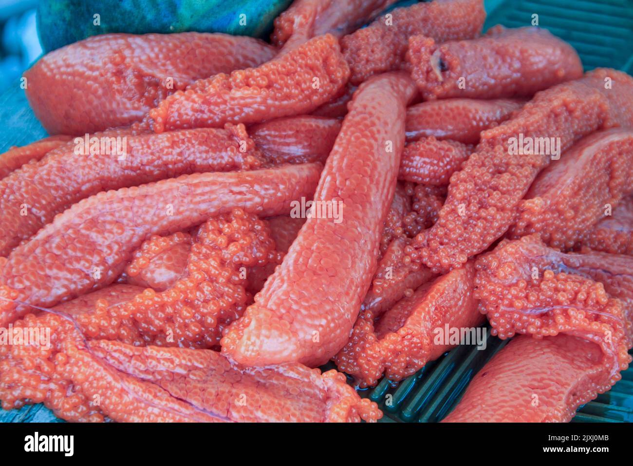 Gut and fillet fish hi-res stock photography and images - Alamy