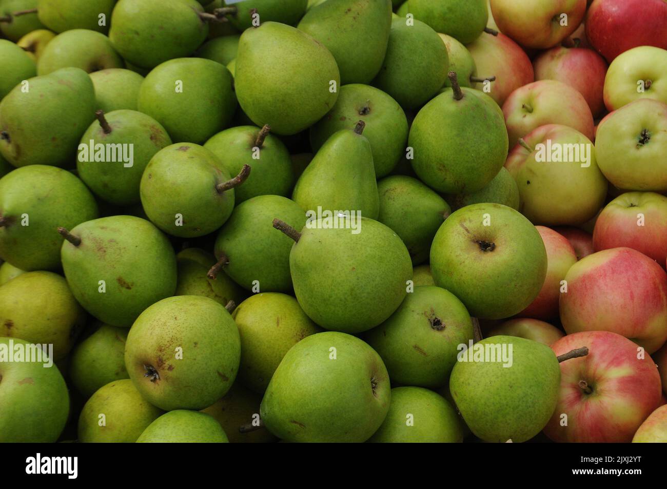 Copenhagen/Denmark/.07.September 2022/.Fruit and vegetable vendor in ...