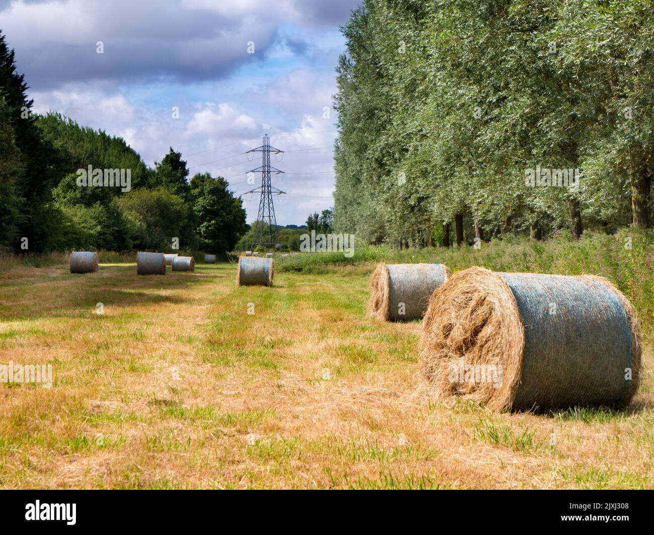 I love electricity pylons; I find their abstract, gaunt shapes ...