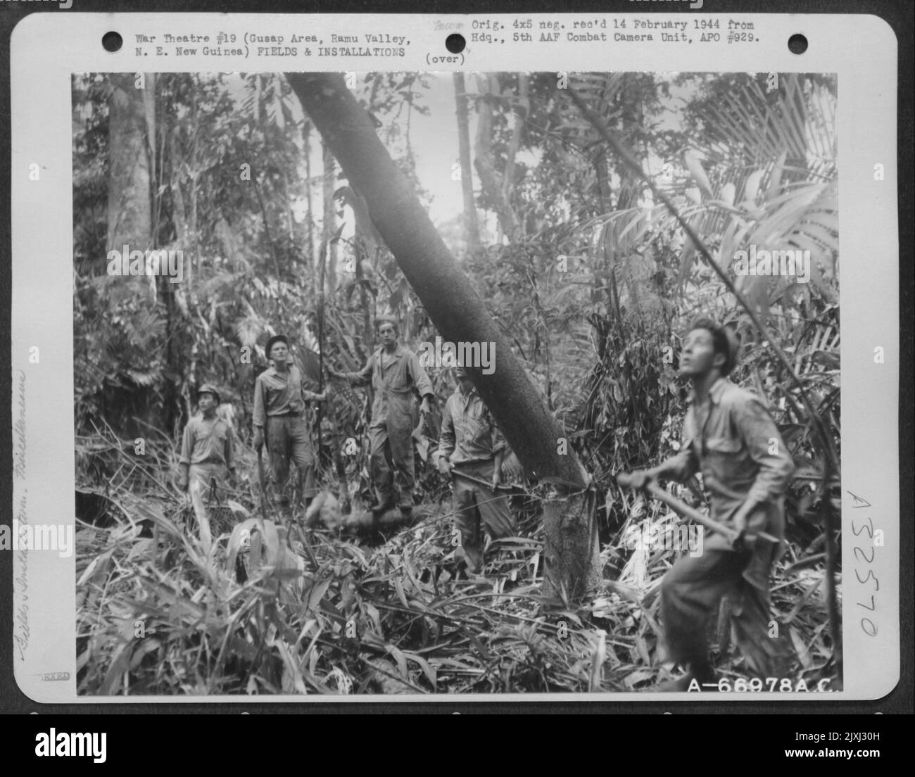 Logging detail felling tree for use in construction of new control ...