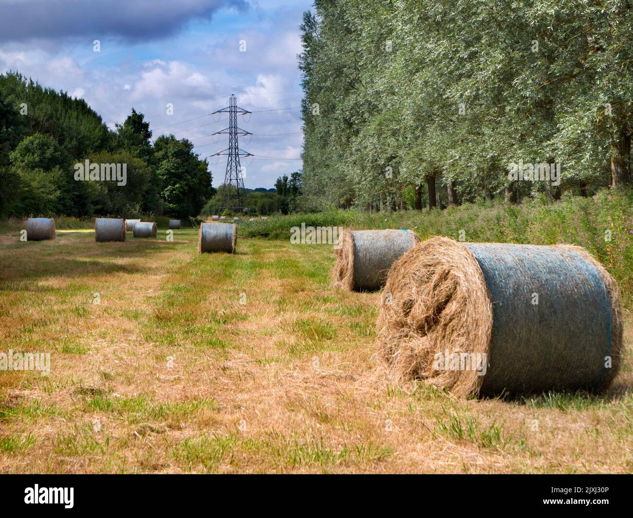 I love electricity pylons; I find their abstract, gaunt shapes ...