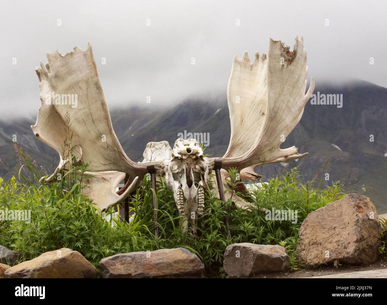 Denali National Park and Preserve, formerly known as Mount McKinley ...