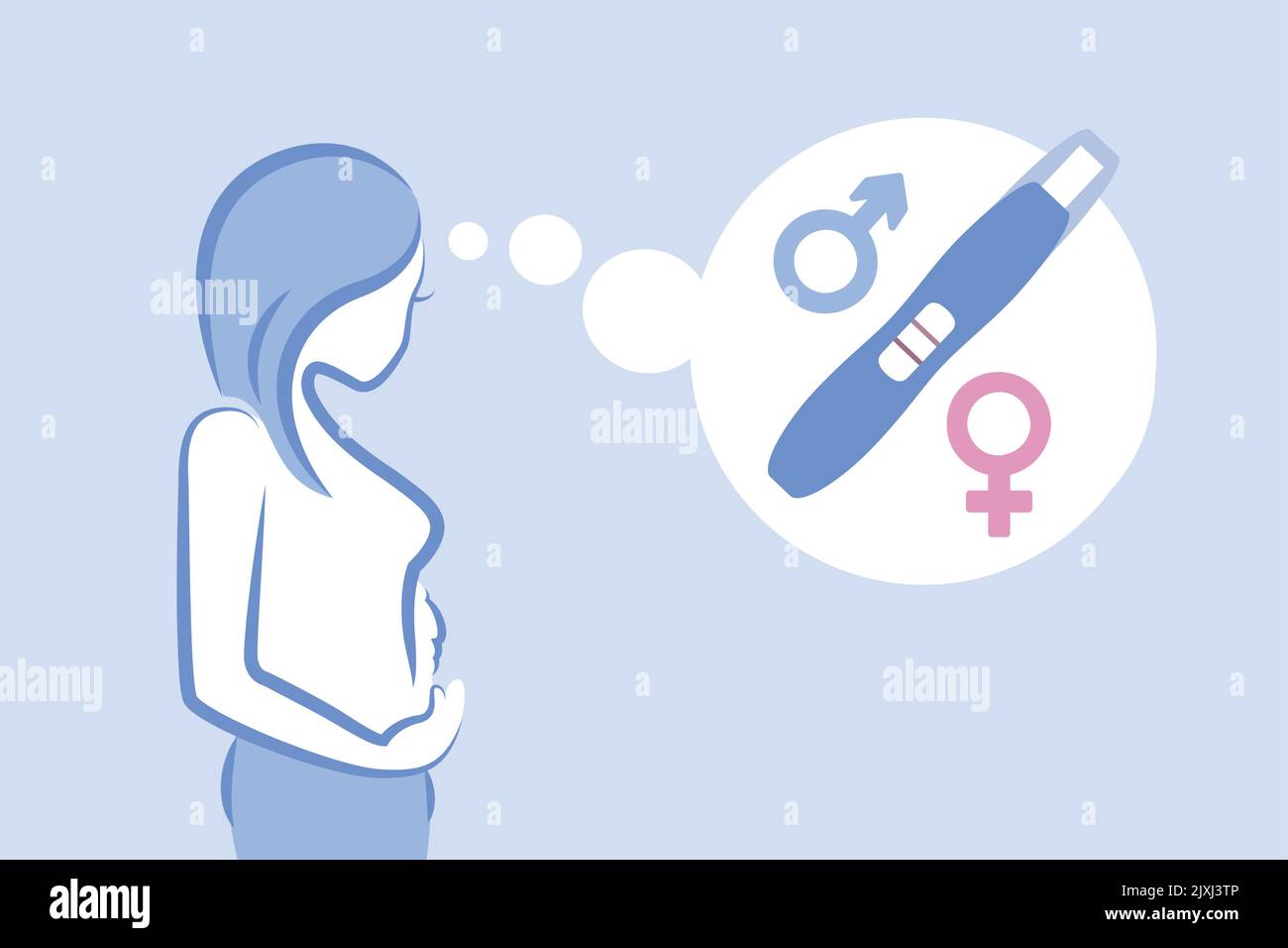 pregnant girl with positive pregnancy test boy or girl Stock Vector ...