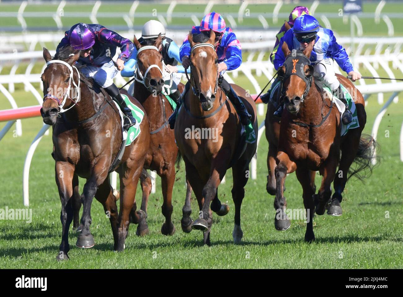 Jockey, Blake Shinn rides Highway Sixtysix to win race 2, the TAB ...