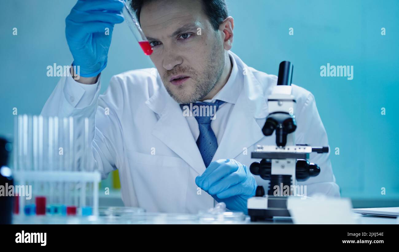 attentive scientist looking at test tube with red sample near ...