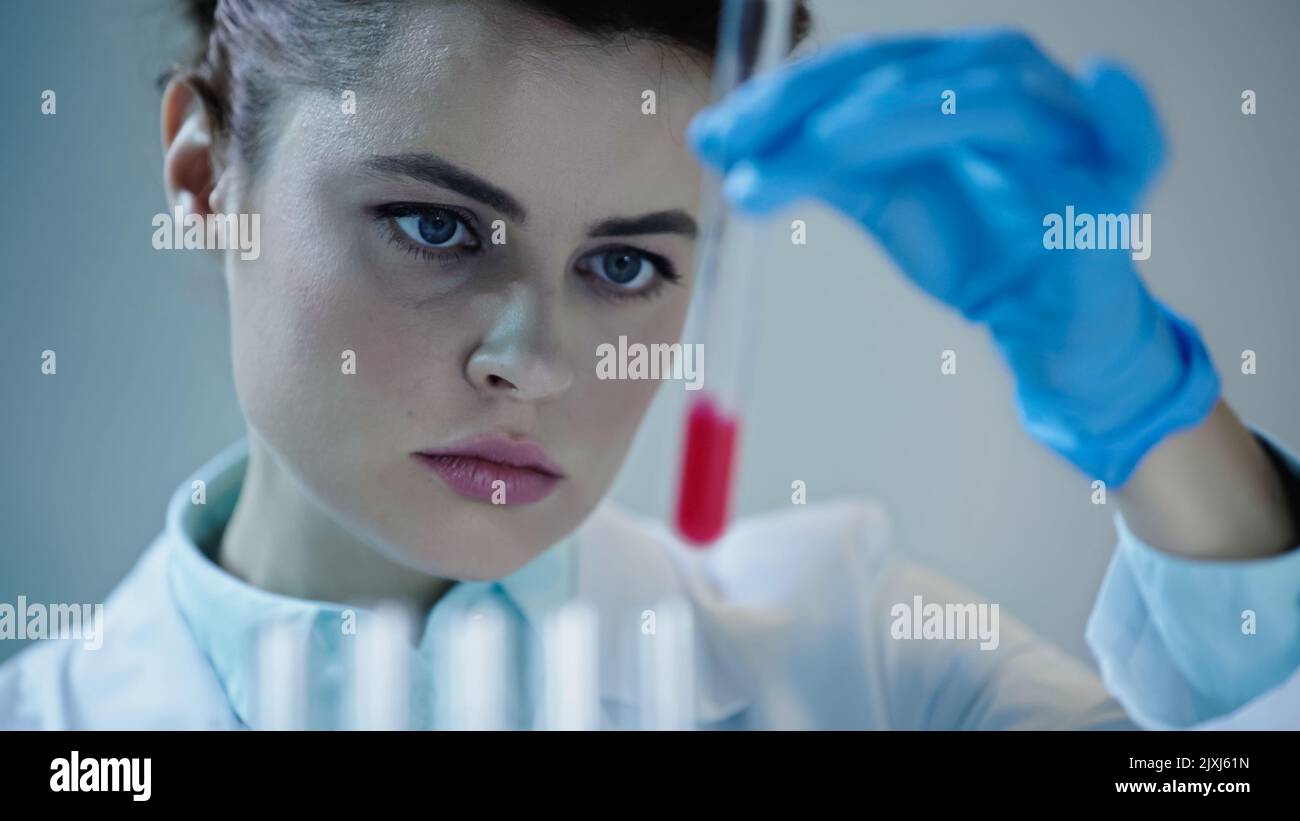 female scientist in latex glove holding blurred test tube with red ...