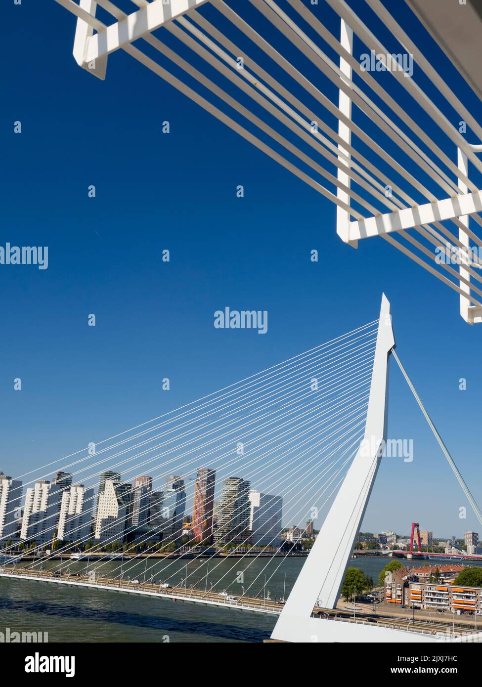 Named after the great renaissance Dutch philosopher and humanist ...