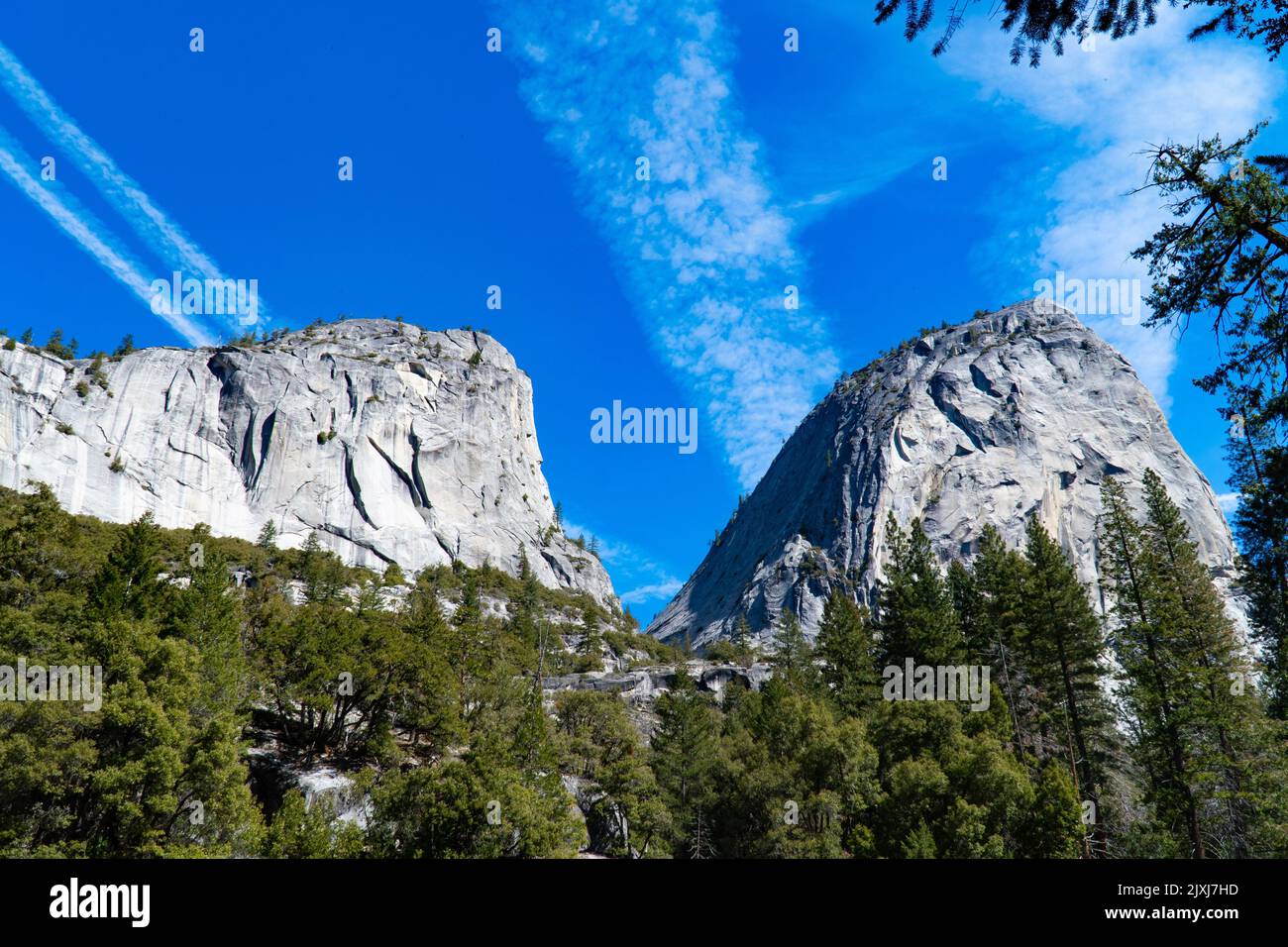The low-angle view of trees before the mountain peaks under the blue ...