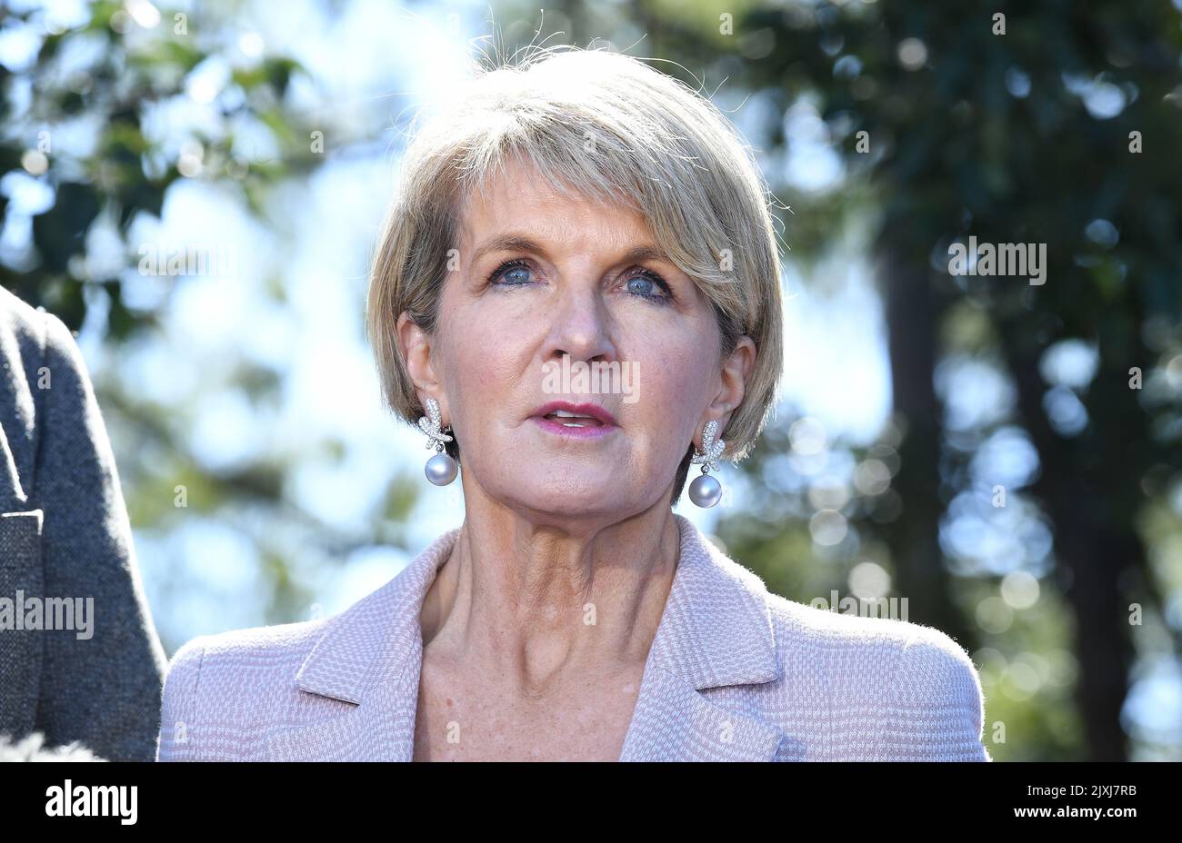 Minister for Foreign Affairs Julie Bishop looks on during a doorstop ...