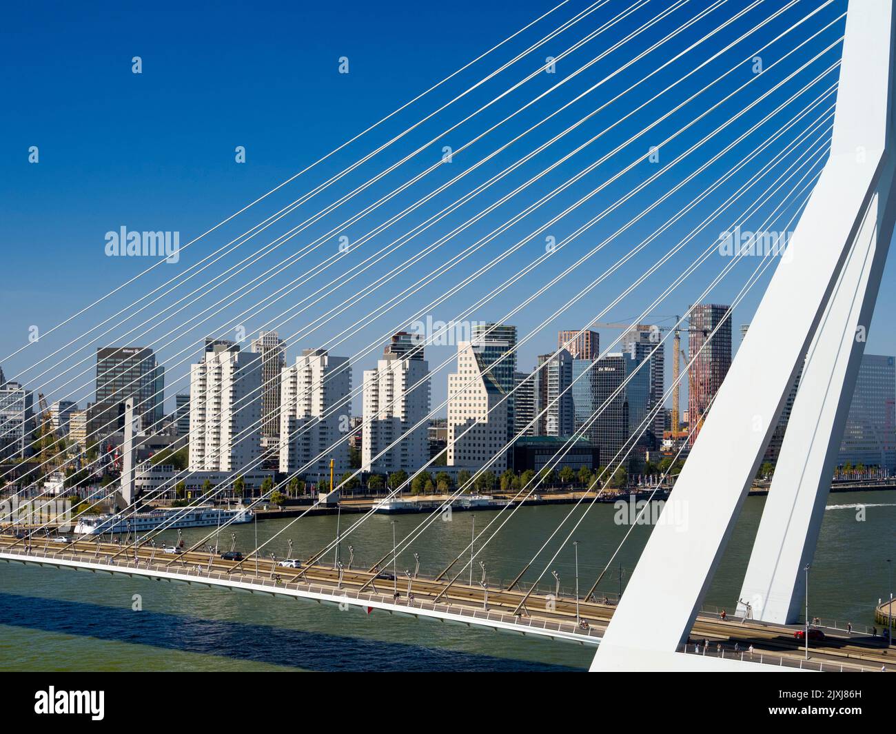 Named after the great renaissance Dutch philosopher and humanist ...