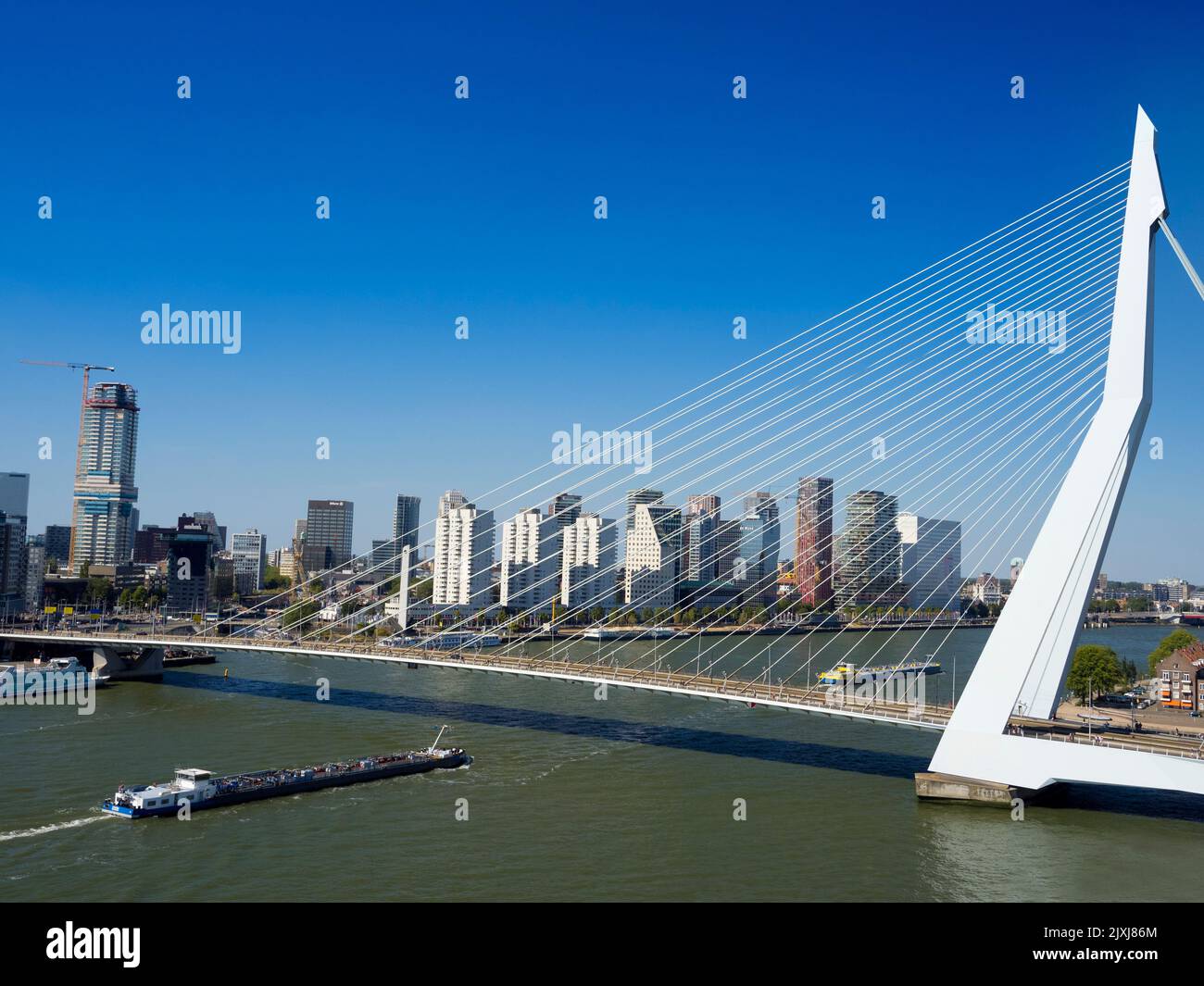 Named after the great renaissance Dutch philosopher and humanist ...