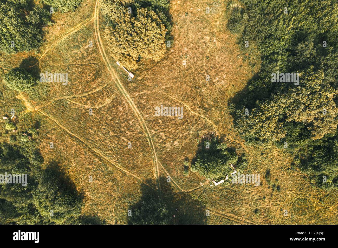 Top-down aerial view of walking trail crossing meadow and forest ...