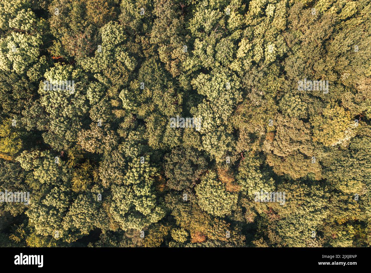 Top down background hi-res stock photography and images - Alamy