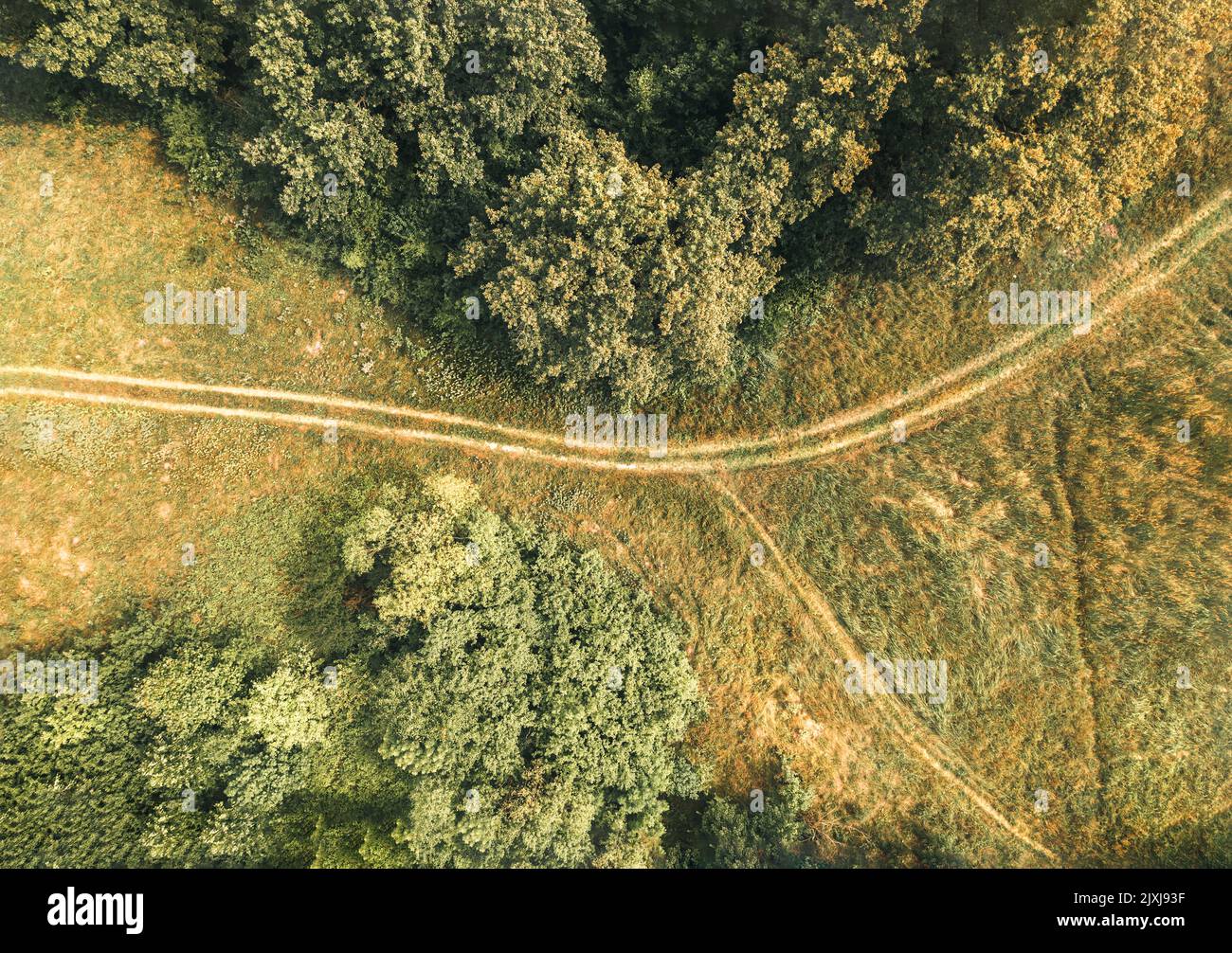 Top-down aerial view of path crossing meadow and forest. Textured ...