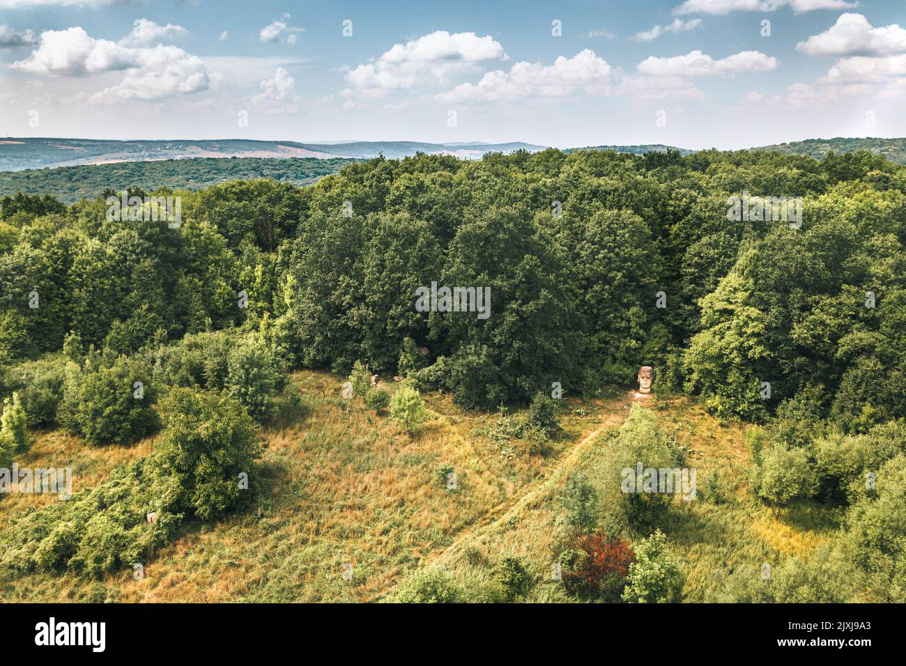 Aerial view in septemeber over dense forest , growing very lush. Drone ...