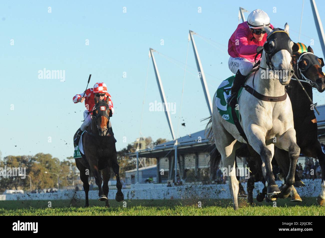 Jockey, Jay Ford rides Albumin to win race 8, the Tab.com.au Handicap ...
