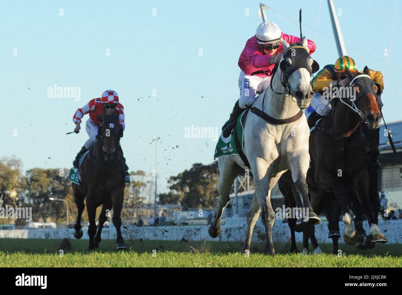 Jockey, Jay Ford rides Albumin to win race 8, the Tab.com.au Handicap ...