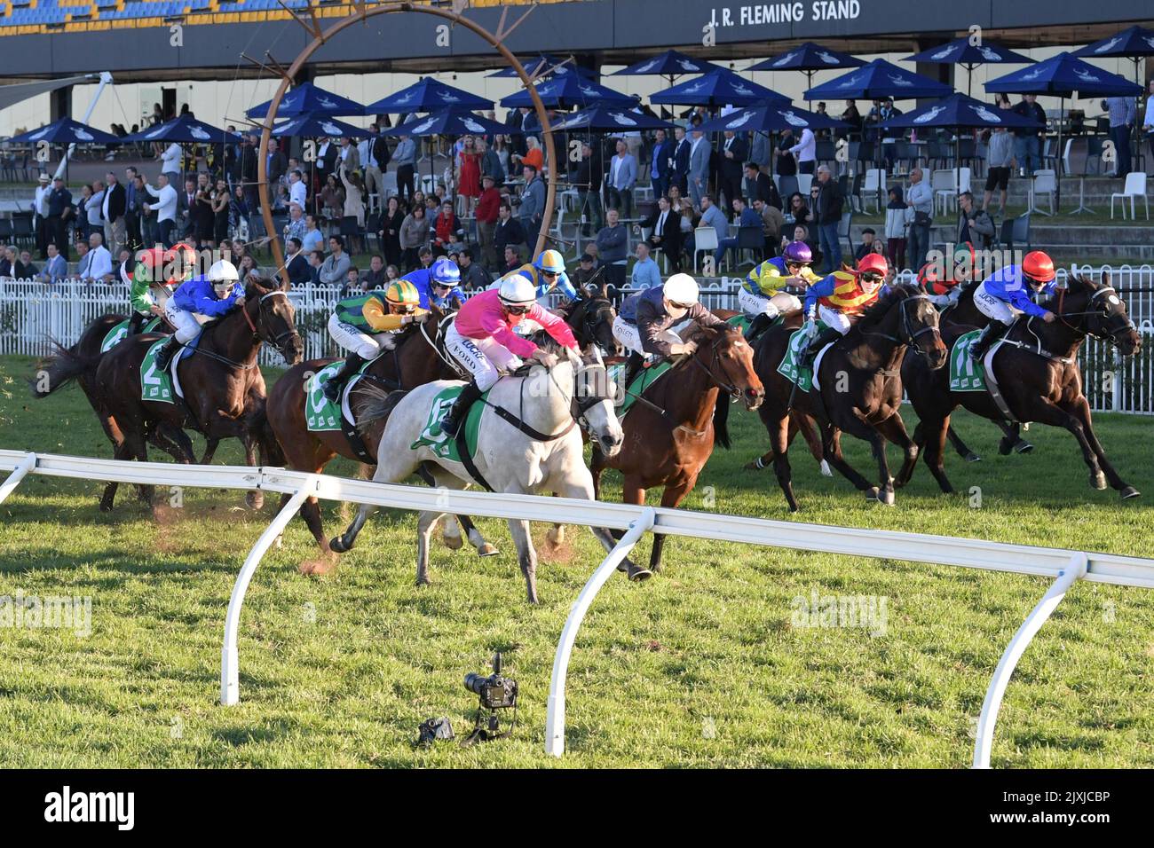 Jockey, Jay Ford rides Albumin to win race 8, the Tab.com.au Handicap ...