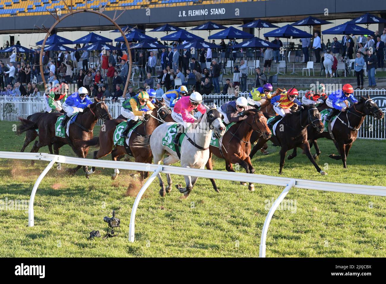 Jockey, Jay Ford rides Albumin to win race 8, the Tab.com.au Handicap ...