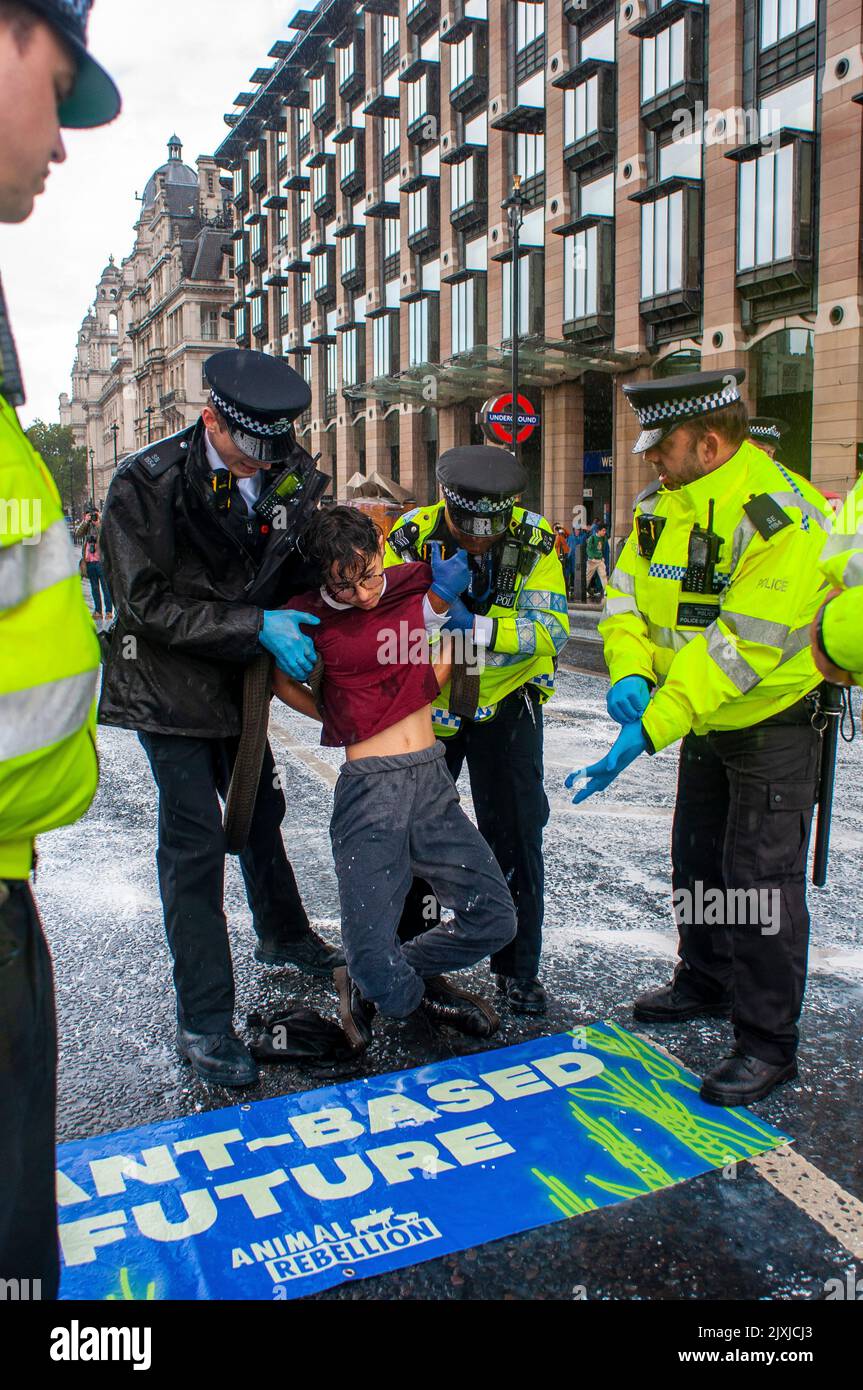 London, UK. 7th Sep, 2022. Animal Rebellion fake milk protest outside ...