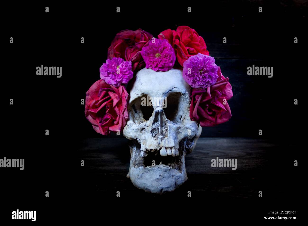 human skull with roses on black rustic background Stock Photo - Alamy