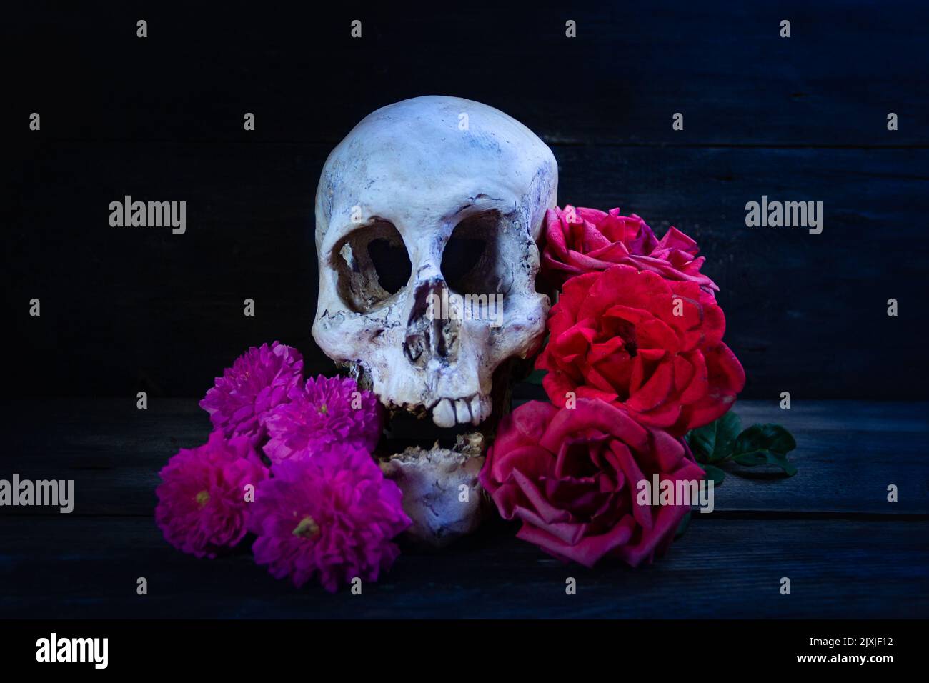 human skull with roses on black rustic background Stock Photo - Alamy