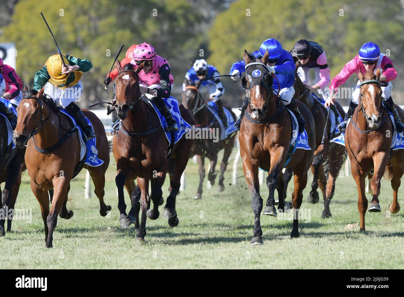 Jockey Brenton Avdulla rides Osorno to win race 2, the Exosphere ...