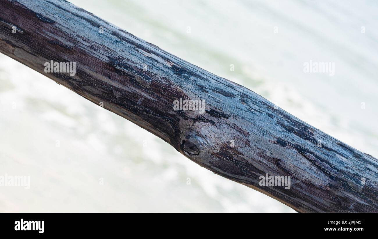 Diagonal line dark brown narrow plank log hard wood bark surface ...
