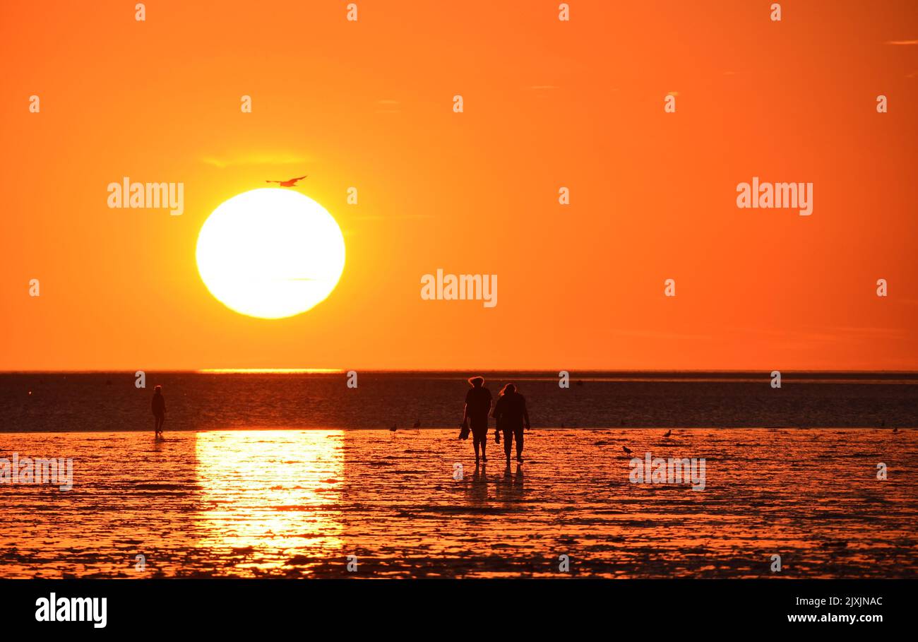 Mudflat woman hi-res stock photography and images - Alamy