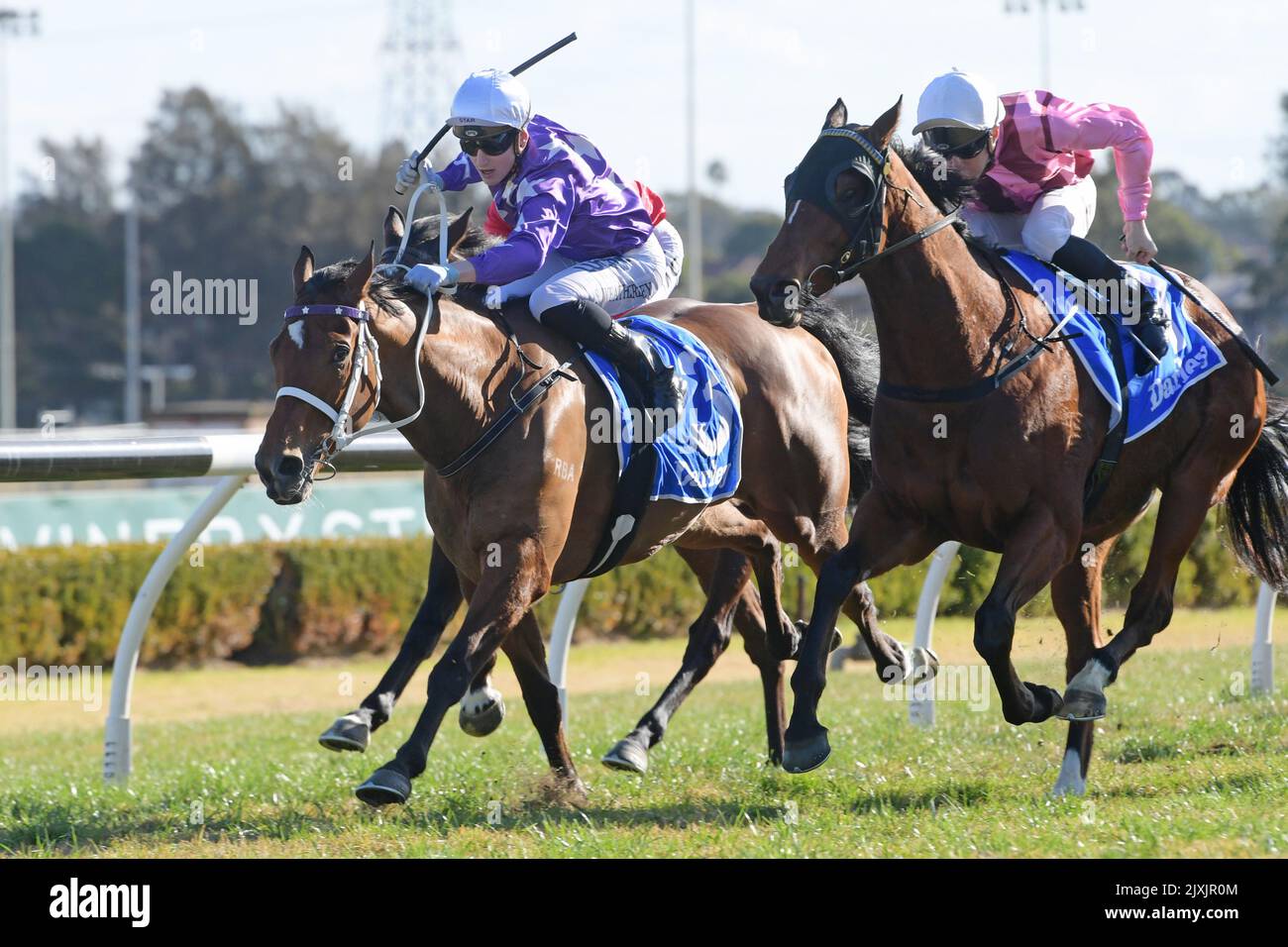 Jockey Sam Weatherly rides Trafalgar to win race 4, the Dawn Approach ...